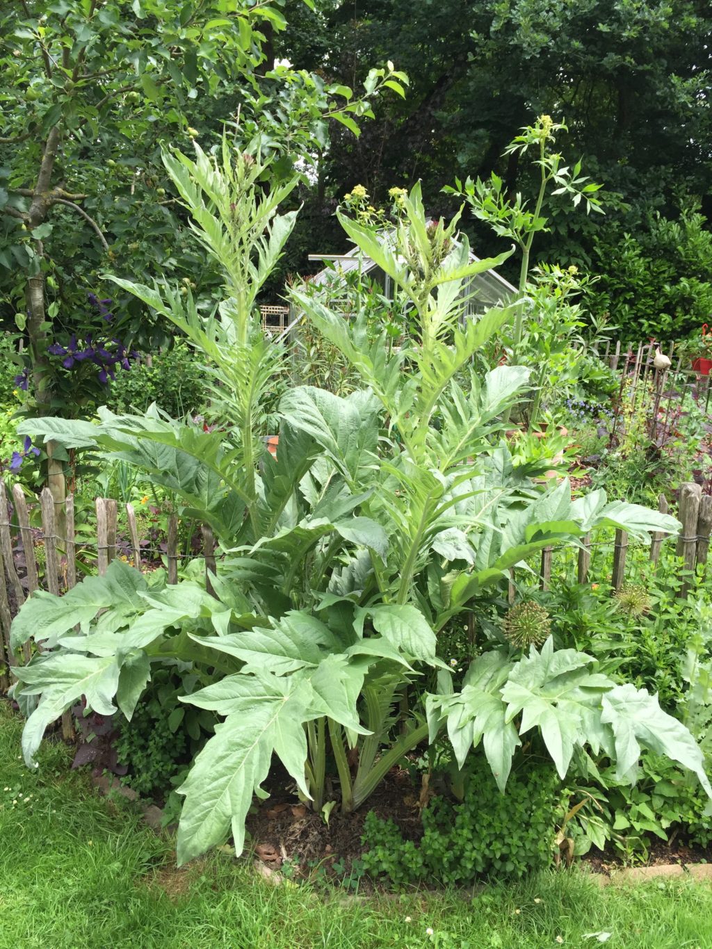 Beplantingsadvies – Groene Saar